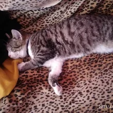 the sensor arrived quickly, we will see how it will be at work. took on ...